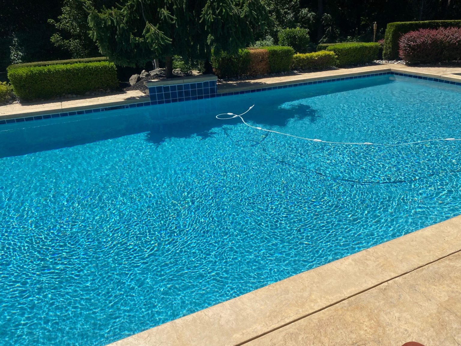 Pebble With Glass Pool Finishes Belmar NJ